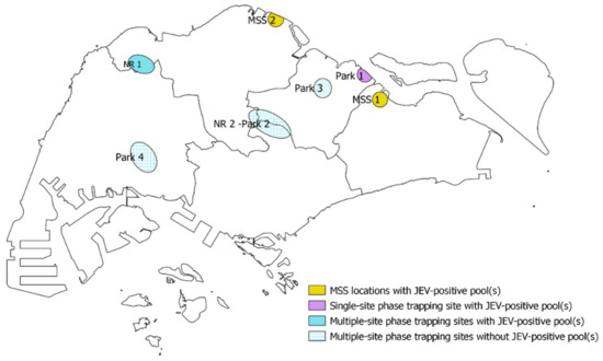 Isolation and Genetic Characterization of Japanese Encephalitis Virus ...