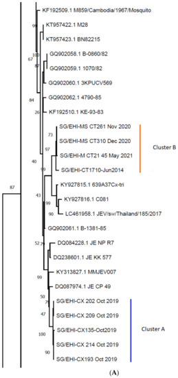 Isolation and Genetic Characterization of Japanese Encephalitis Virus ...