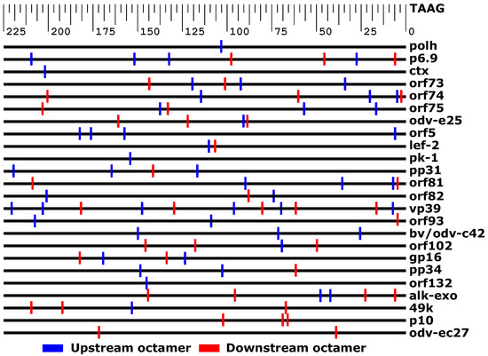Utility of Alternative Promoters for Foreign Gene Expression Using the ...