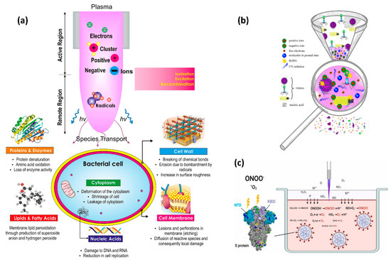 Viruses | Free Full-Text | Nonthermal Biocompatible Plasma Inactivation ...