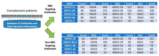 Optimizing Antibody Affinity and Developability Using a Framework–CDR ...