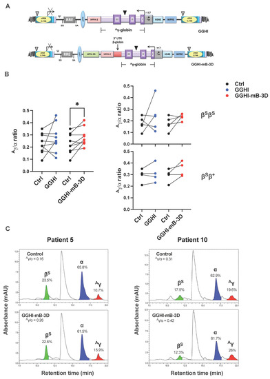 The Optimized γ-Globin Lentiviral Vector GGHI-mB-3D Leads to Nearly ...