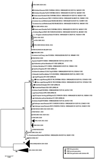 Viruses | Free Full-Text | Analysis of Avian Influenza (H5N5) Viruses ...
