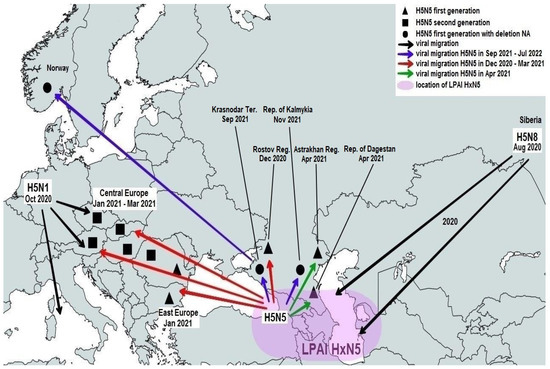 Viruses | Free Full-Text | Analysis of Avian Influenza (H5N5) Viruses Isolated in the ...