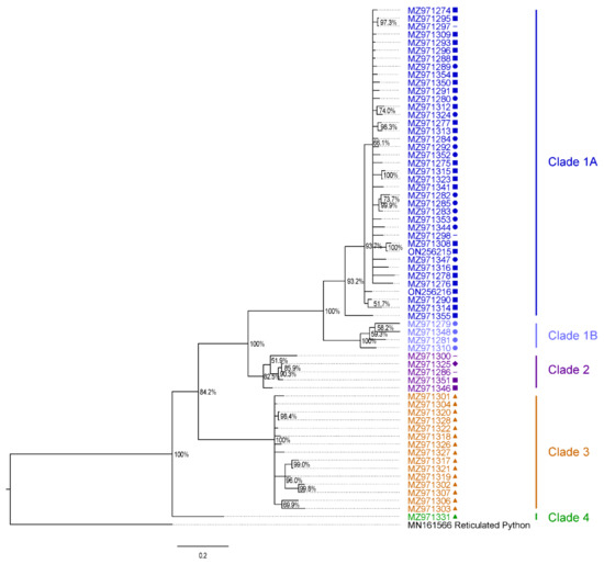 Divergent Serpentoviruses in Free-Ranging Invasive Pythons and Native ...
