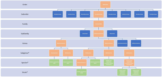 A Glimpse on the Evolution of RNA Viruses: Implications and Lessons ...