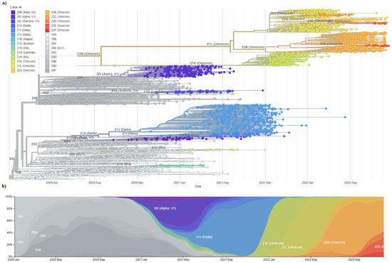 A Glimpse on the Evolution of RNA Viruses: Implications and Lessons ...