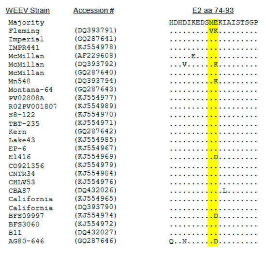 In Vitro and In Vivo Phenotypes of Venezuelan, Eastern and Western ...