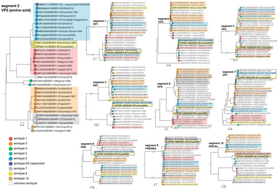 Epizootic Haemorrhagic Disease Virus Serotype 8 in Tunisia, 2021