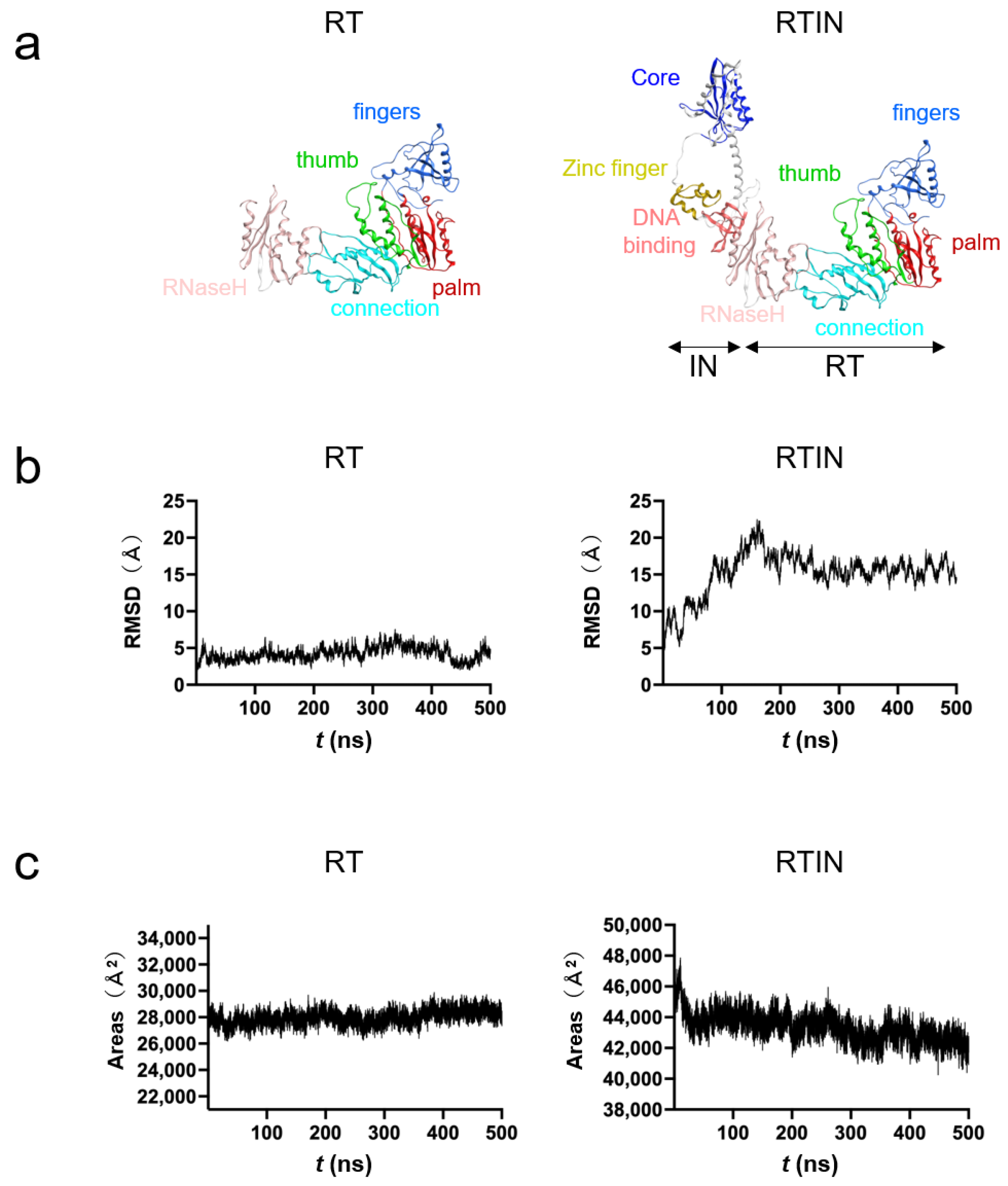 Cis-Allosteric Regulation of HIV-1 Reverse Transcriptase by Integrase
