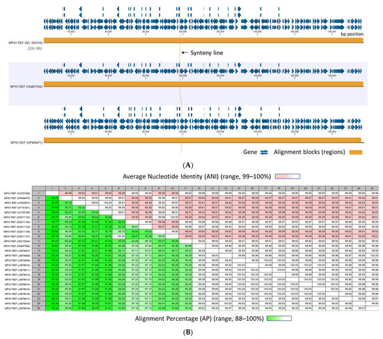 Viruses | Free Full-Text | A Customized Monkeypox Virus Genomic ...