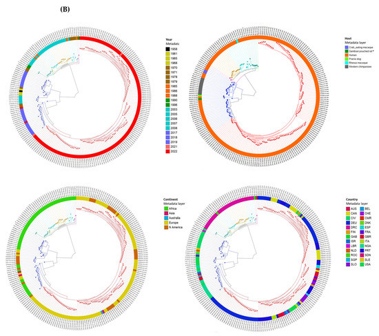 Viruses | Free Full-Text | A Customized Monkeypox Virus Genomic ...