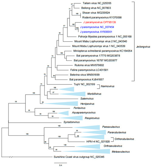 Genetic Diversity and Expanded Host Range of J Paramyxovirus Detected ...