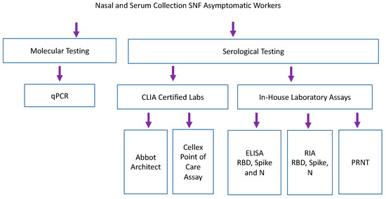 Laboratory-Based SARS-CoV-2 Receptor Binding Domain Serologic Assays ...