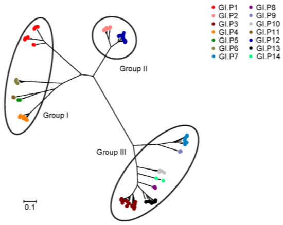 Viruses | Free Full-Text | Molecular Evolution of RNA-Dependent RNA ...
