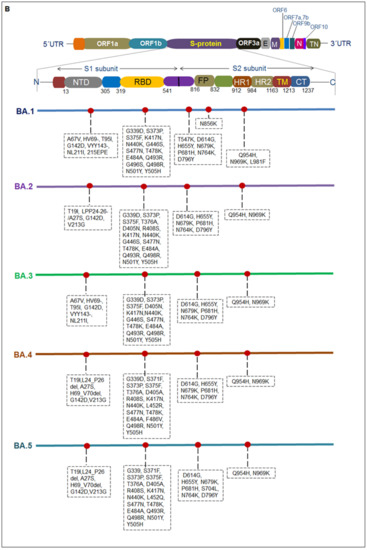 A Detailed Overview of SARS-CoV-2 Omicron: Its Sub-Variants, Mutations ...