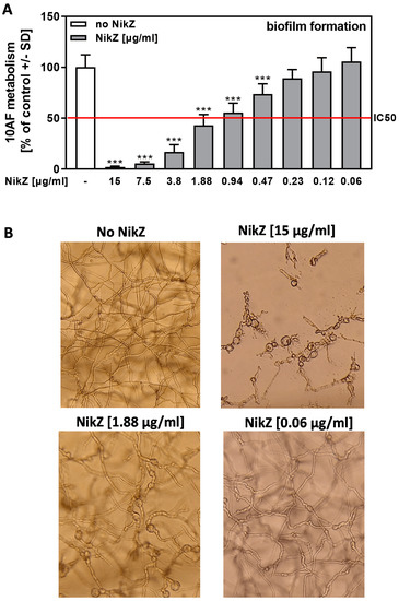 Viruses | Free Full-Text | Polymycovirus Infection Sensitizes ...