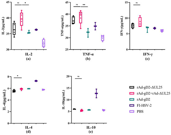 An Adenovirus-Based Recombinant Herpes Simplex Virus 2 (HSV-2 ...