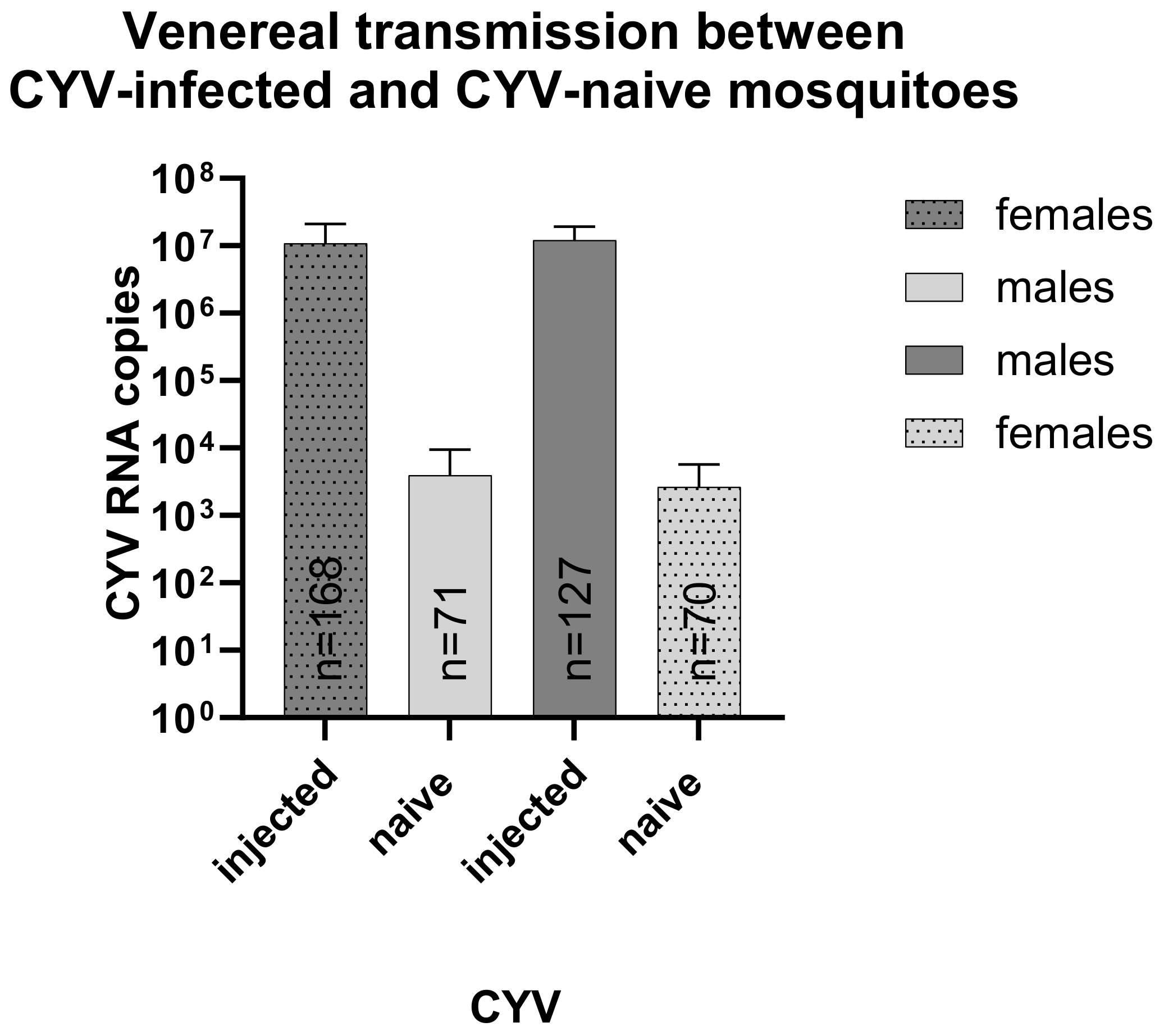 Culex Y Virus: A Native Virus of Culex Species Characterized In Vivo
