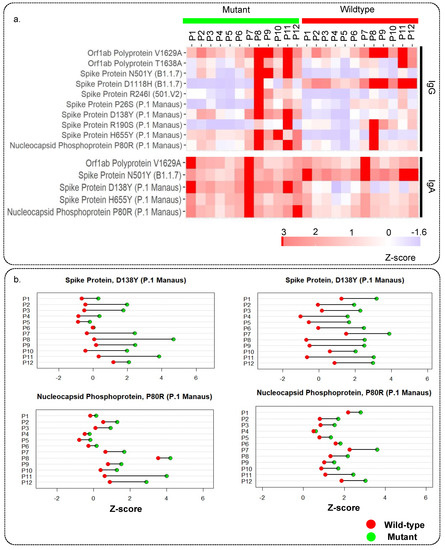 Viruses | Free Full-Text | Humoral Immune Response Profile of COVID-19 ...