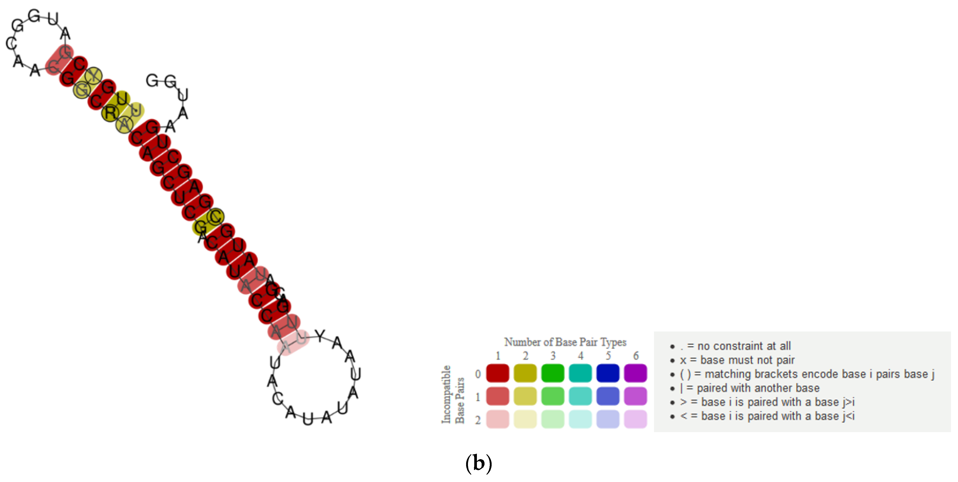 A Conserved Stem-Loop Structure within ORF5 Is a Frequent Recombination ...