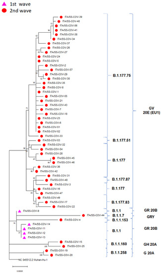 Origin, Genetic Variation and Molecular Epidemiology of SARS-CoV-2 ...