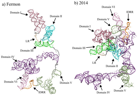RNA Structure in the 5′ Untranslated Region of Enterovirus D68 Strains ...