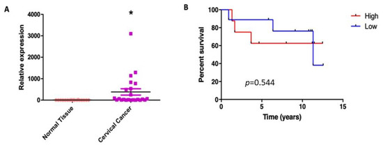 HPV16 E6 and E7 Oncoproteins Stimulate the Glutamine Pathway ...