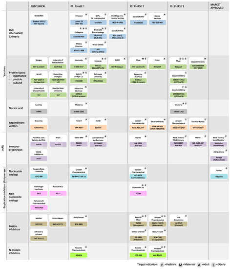 Biochemistry of the Respiratory Syncytial Virus L Protein Embedding RNA ...