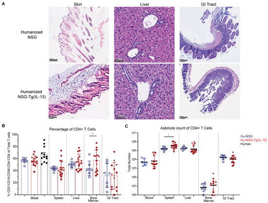 Human Hematopoietic Stem Cell Engrafted IL-15 Transgenic NSG Mice ...