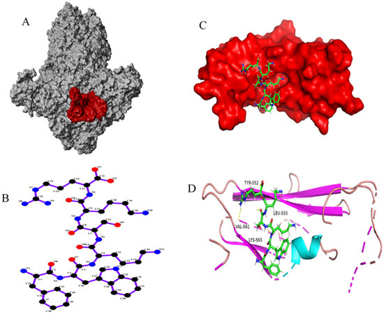 Virtual Screening-Based Peptides Targeting Spike Protein to Inhibit ...