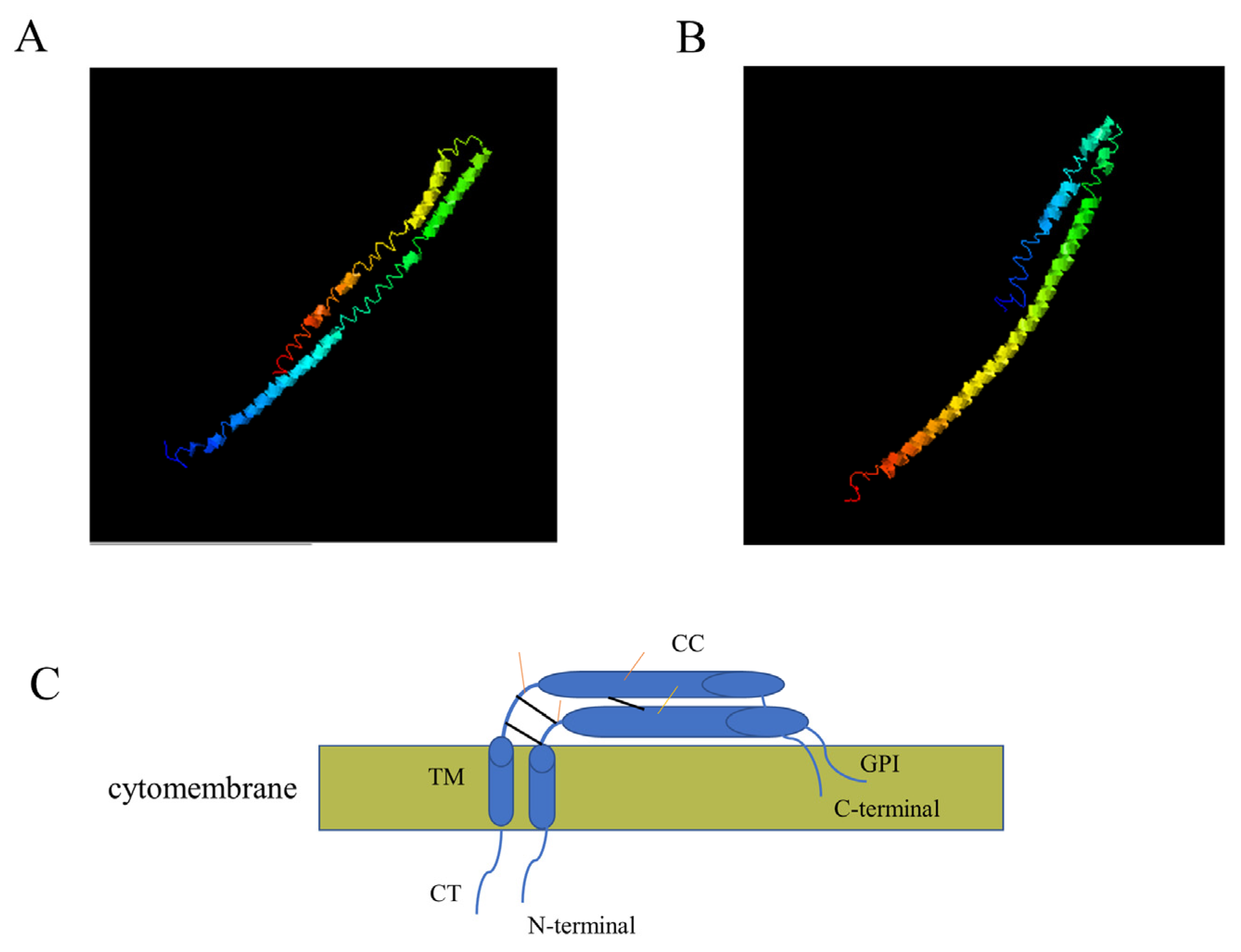 Identification of Two Isoforms of Canine Tetherin in Domestic Dogs and ...