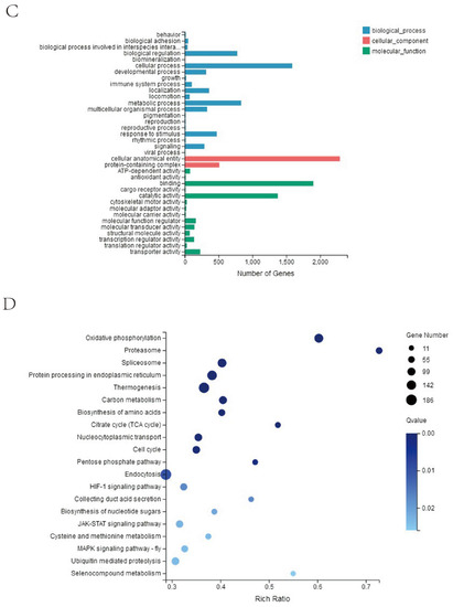 Isolation, Characterization, and Transcriptome Analysis of an ISKNV-Like Virus from Largemouth Bass