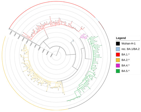 The Spread of SARS-CoV-2 Omicron Variant in CALABRIA: A Spatio-Temporal ...