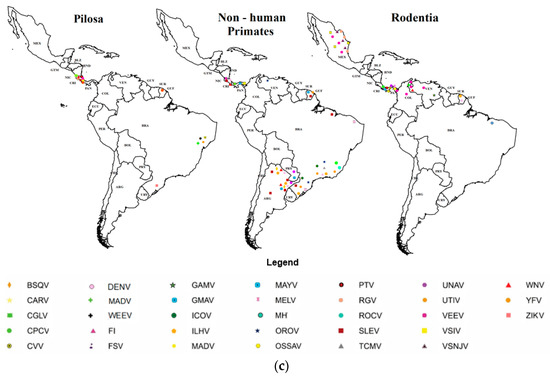 Viruses | Free Full-Text | Arboviruses in Mammals in the Neotropics: A ...
