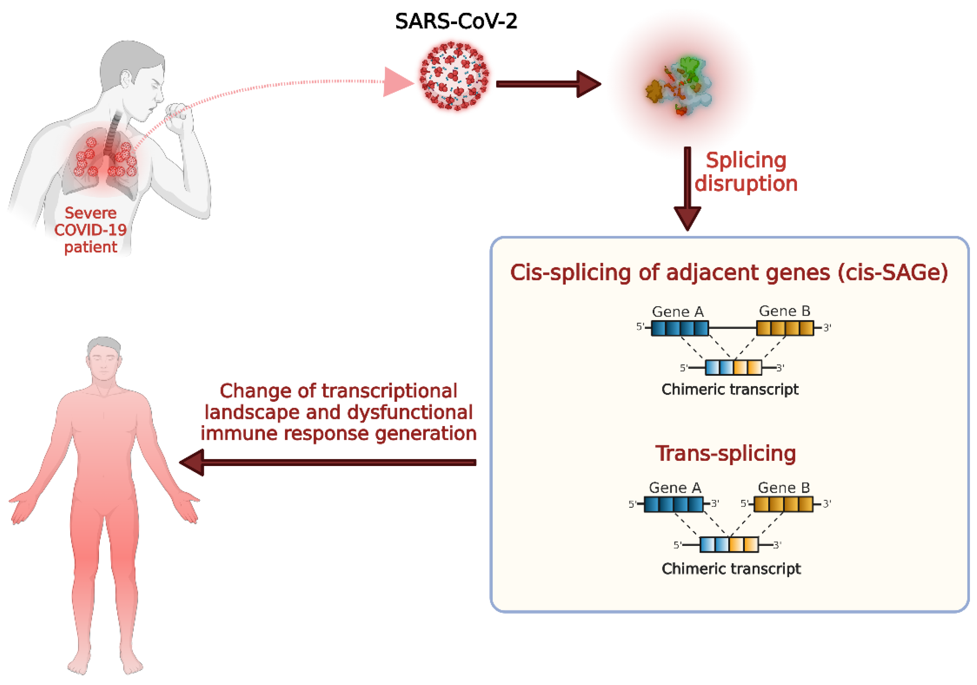 The Landscape of Expressed Chimeric Transcripts in the Blood of Severe ...
