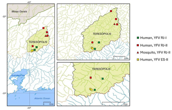 Ecological, Genetic, and Phylogenetic Aspects of YFV 2017–2019 Spread ...