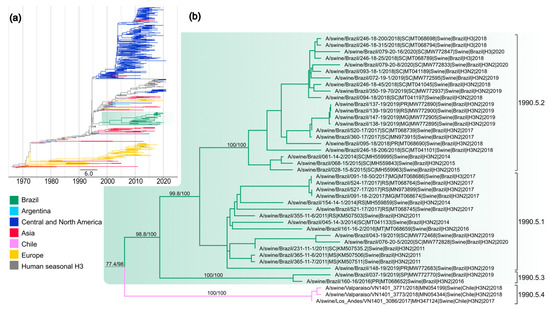 Introductions of Human-Origin Seasonal H3N2, H1N2 and Pre-2009 H1N1 ...