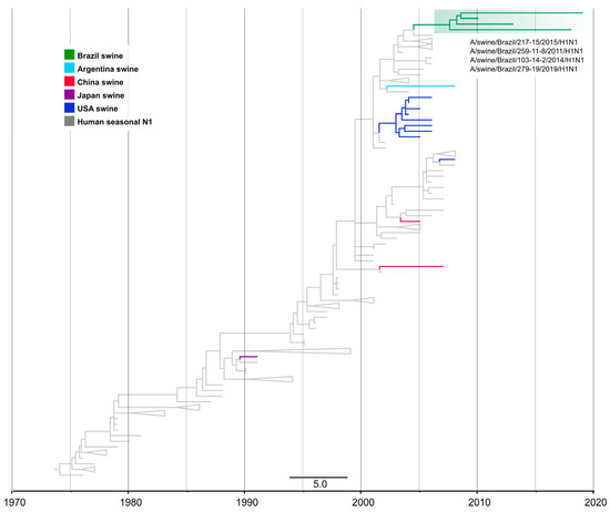 Introductions of Human-Origin Seasonal H3N2, H1N2 and Pre-2009 H1N1 ...