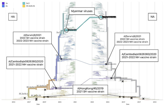 Whole-Genome Analysis of Influenza A(H3N2) and B/Victoria Viruses ...