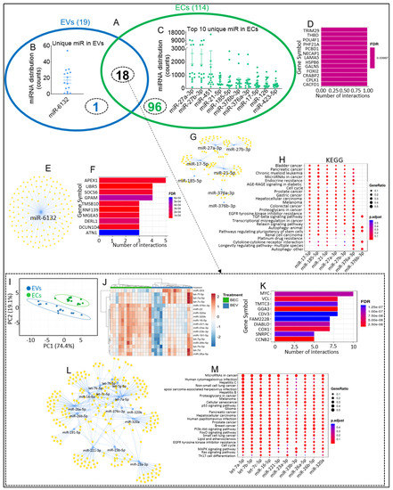 Viruses | Free Full-Text | SIV Infection Regulates Compartmentalization ...