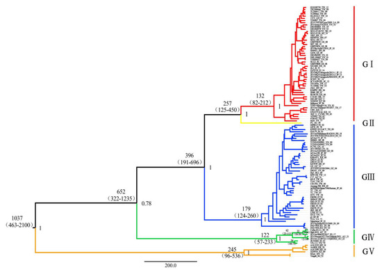 Re-Emerged Genotype IV of Japanese Encephalitis Virus Is the Youngest ...