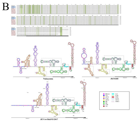 Re-Emerged Genotype IV of Japanese Encephalitis Virus Is the Youngest ...
