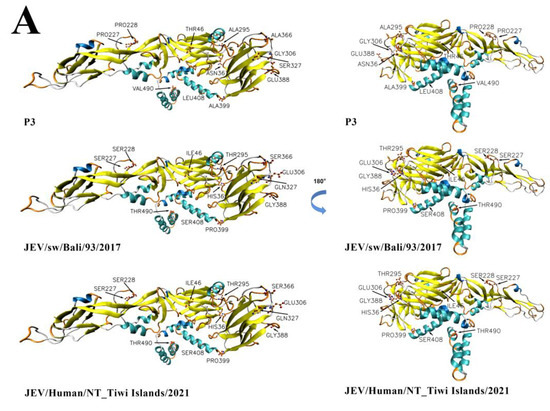 Re-Emerged Genotype IV of Japanese Encephalitis Virus Is the Youngest ...