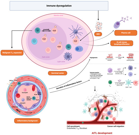 Epstein–Barr Virus History and Pathogenesis