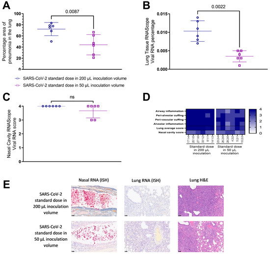 SARS-CoV-2 Disease Severity in the Golden Syrian Hamster Model of Infection Is Related to the ...