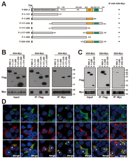 Characterization of Human Norovirus Nonstructural Protein NS1.2 ...