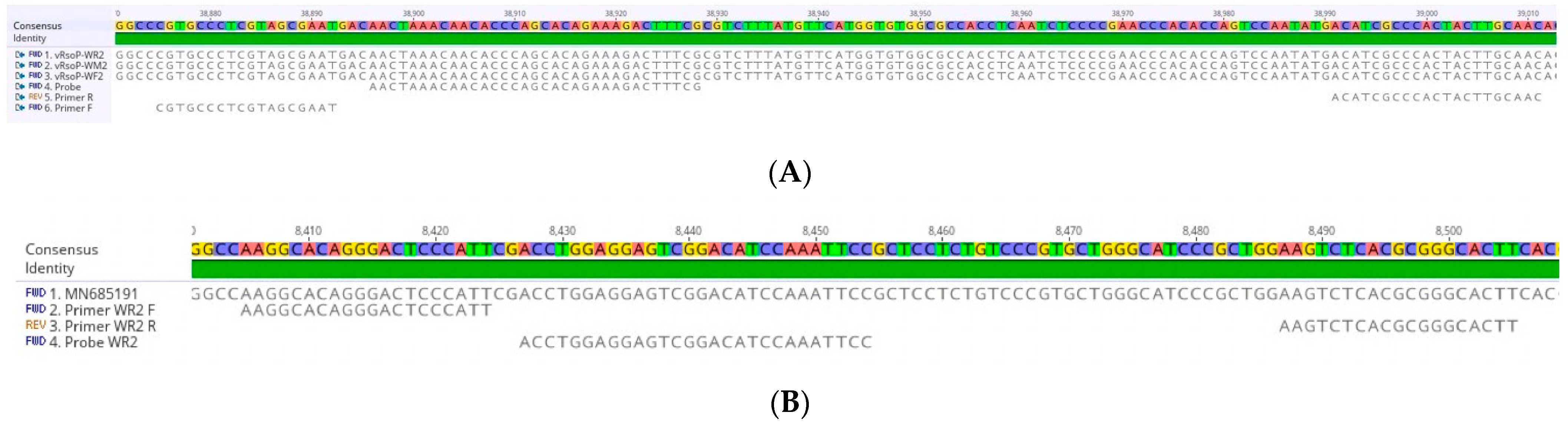 Development of TaqMan Real-Time PCR Protocols for Simultaneous Detection and Quantification of ...
