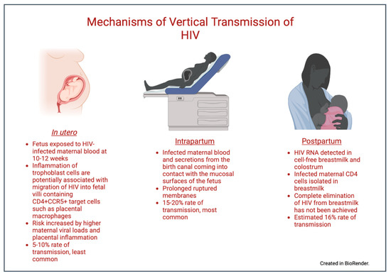 Prevention of the Vertical Transmission of HIV; A Recap of the Journey ...