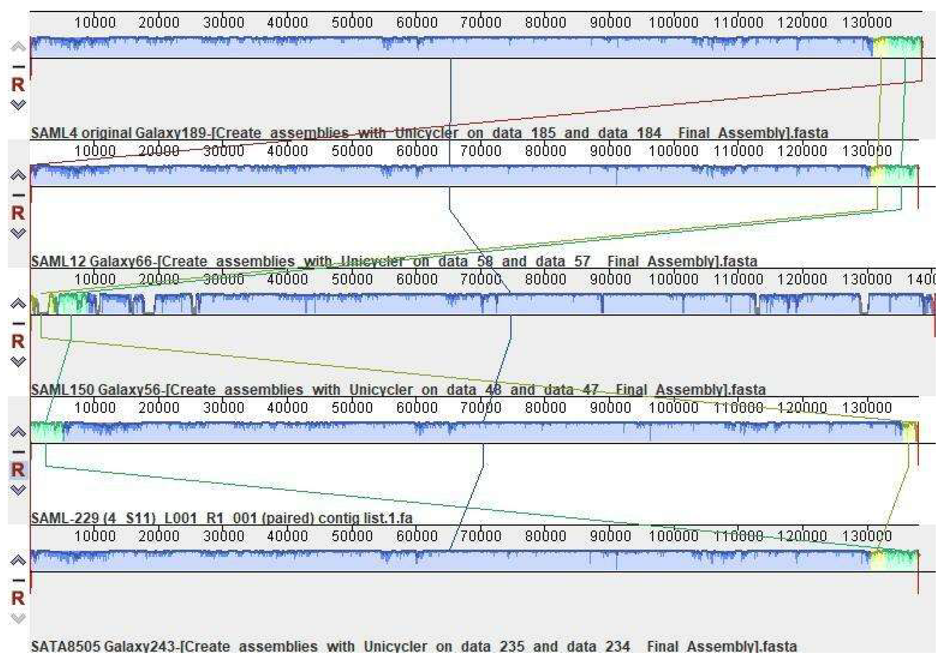 Viruses | Free Full-Text | Effective Treatment of Staphylococcus aureus Intramammary Infection ...
